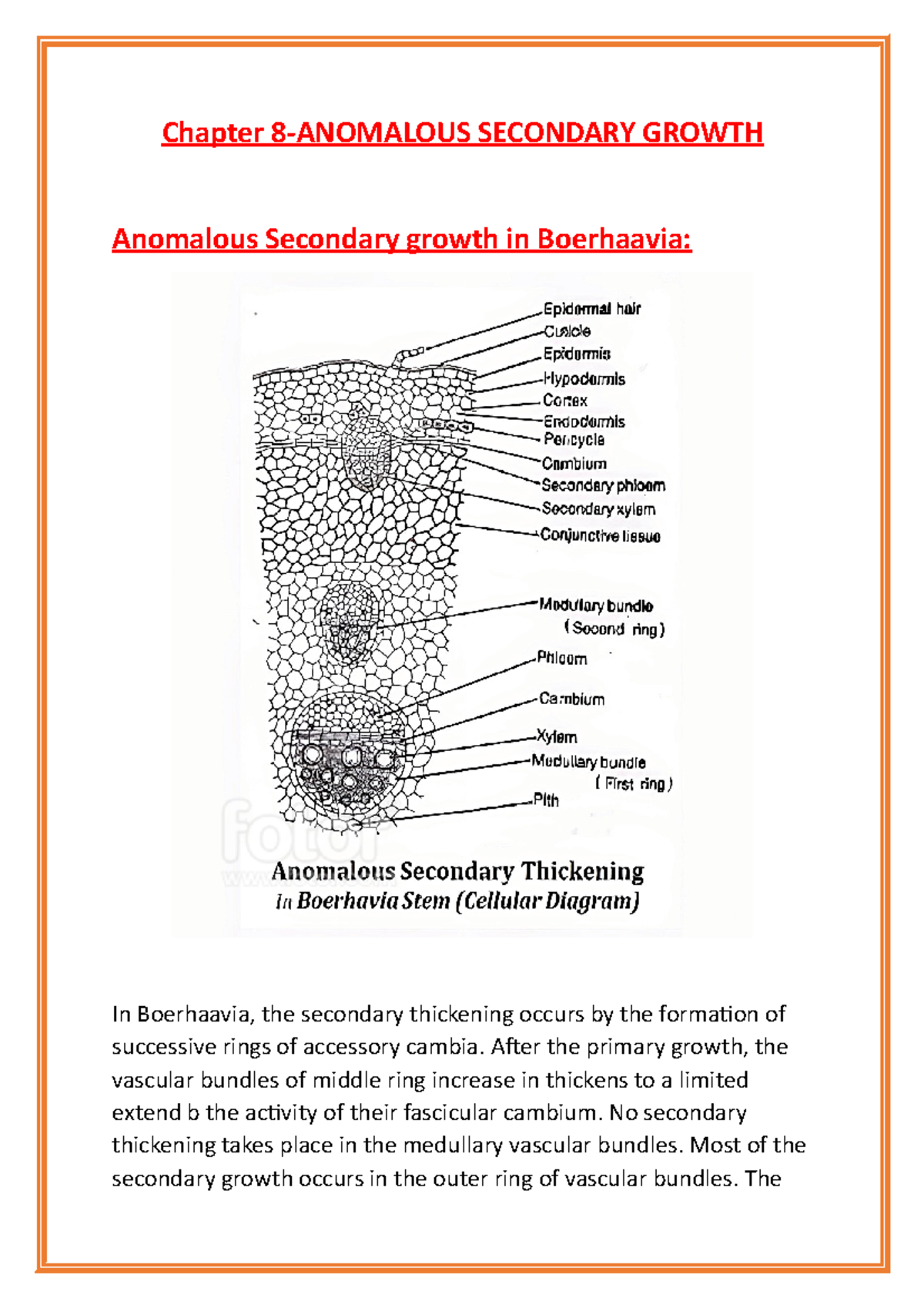 Chapter 8- Anomalous Secondary Growth - Chapter 8-ANOMALOUS SECONDARY ...
