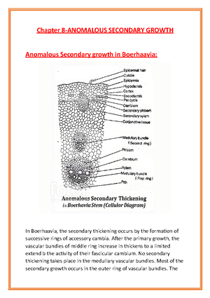 Chapter 4- Morphogenesis IN Plants - Morphogenesis in Plants ...