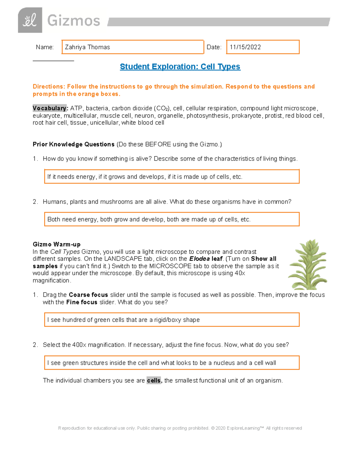 Gizmos Cell Types - Name: Zahriya Thomas Date: 11/15/ Student ...