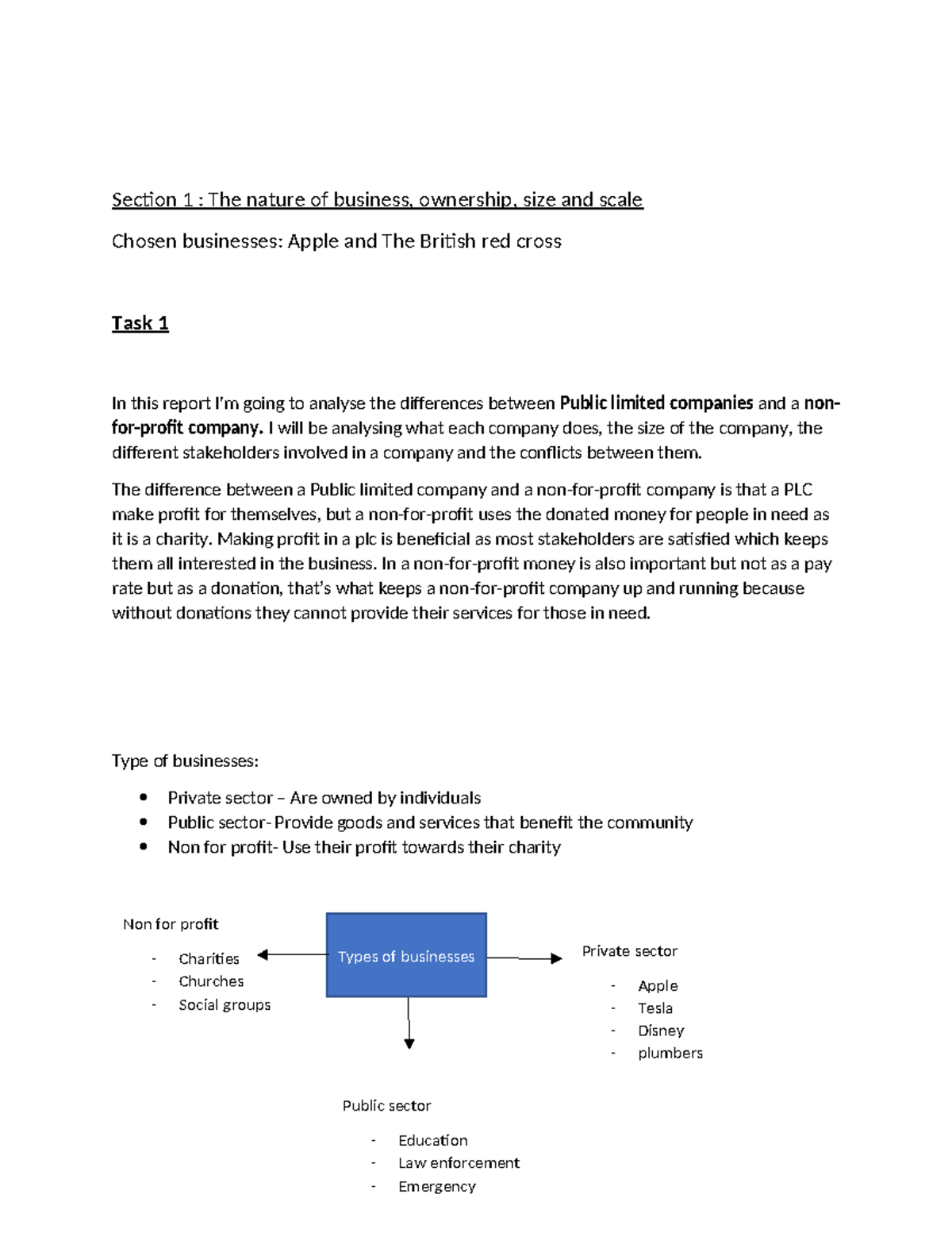 Business courwork distinction 2 - Section 1 : The nature of business ...
