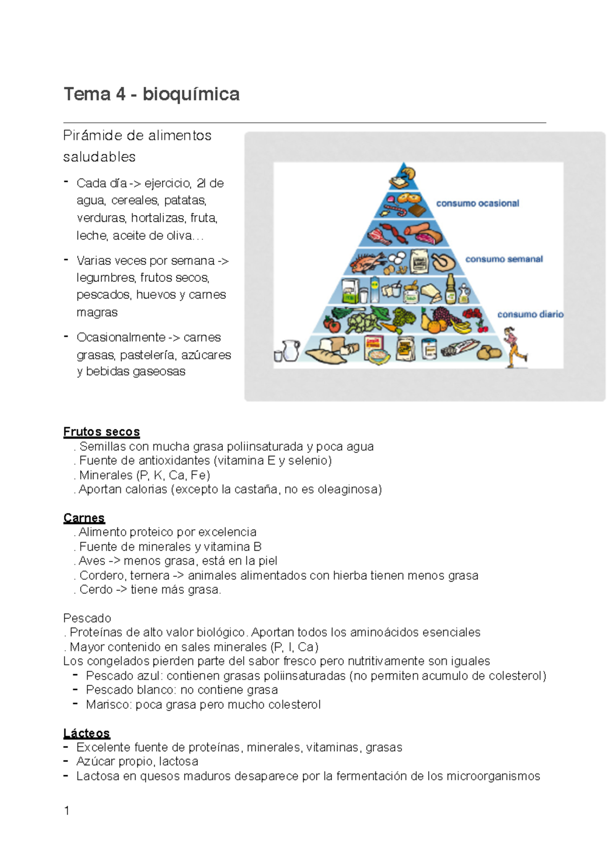 Tema 4 - bioquímica - primer semestre - Tema 4 - bioquímica Pirámide de ...