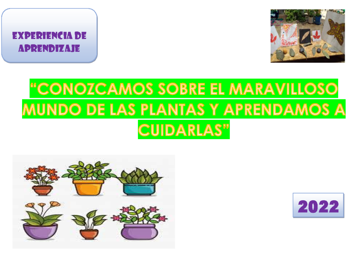 Conozcamos Sobre EL Maravilloso Mundo DE LAS Plantas Y Aprendamos A ...