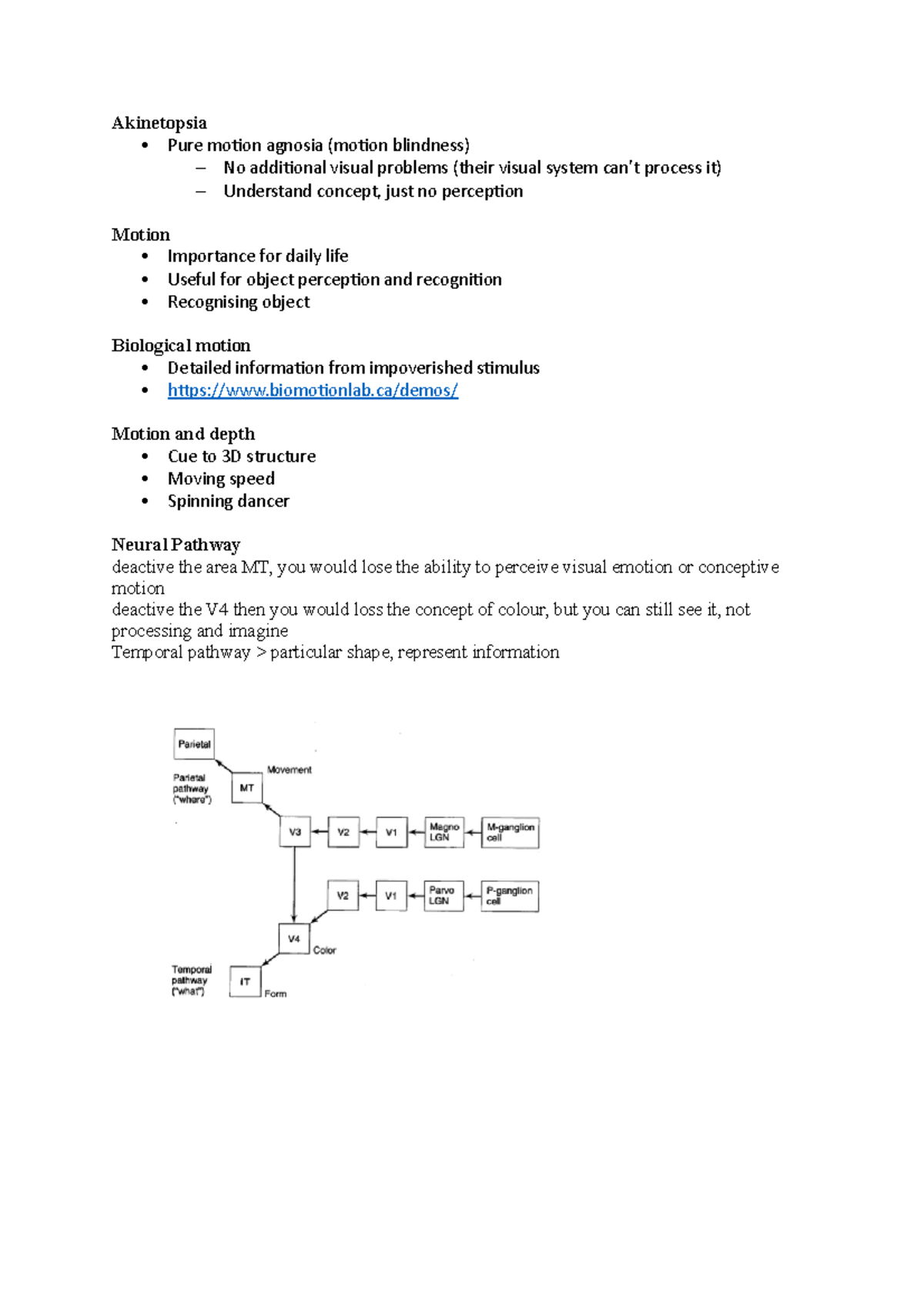 Week 4 - Lecturer: Jon Prince - Akinetopsia - Pure motion agnosia ...