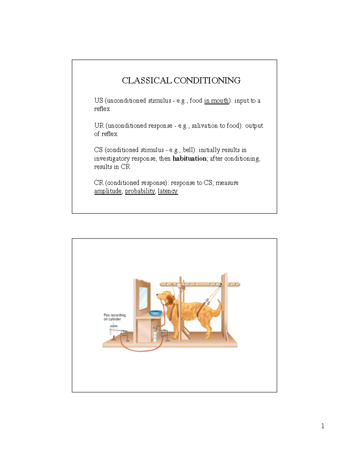 Learning and Conditioning - CLASSICAL CONDITIONING US (unconditioned ...