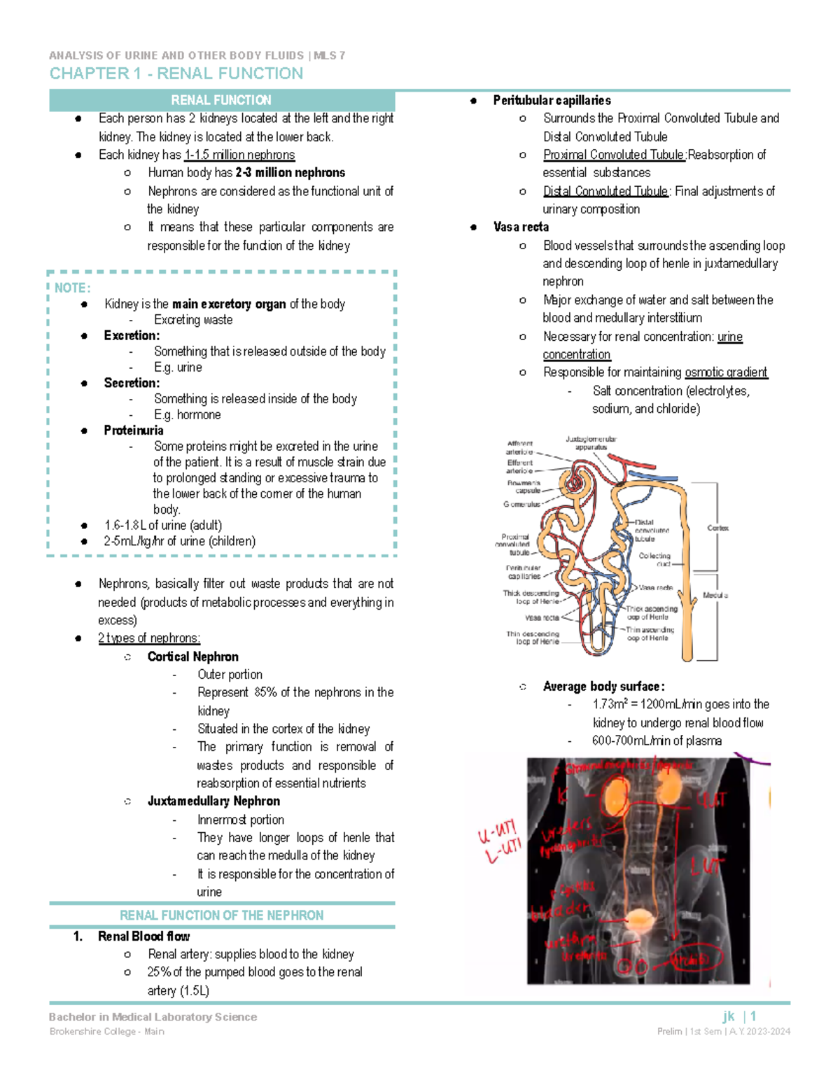 Lesson 1 - Renal Funcction - CHAPTER 1 - RENAL FUNCTION RENAL FUNCTION ...