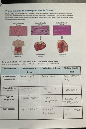 Skeletal muscle pump - BIOL 105L - Studocu