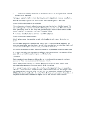 Human act 4 eso tilin wtf este quien porogn - Activity 4 Part 1 1 ...