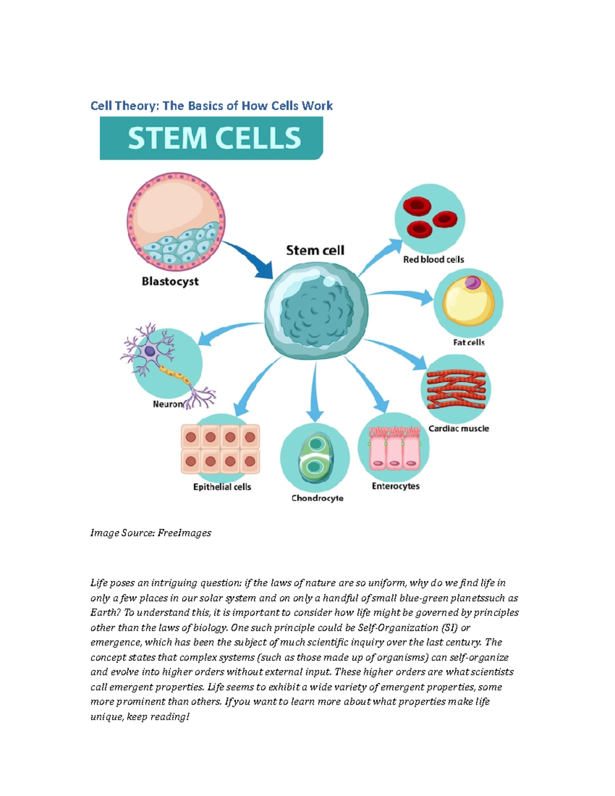 Cell theory the basics of how cells work - Cell Theory: The Basics of ...
