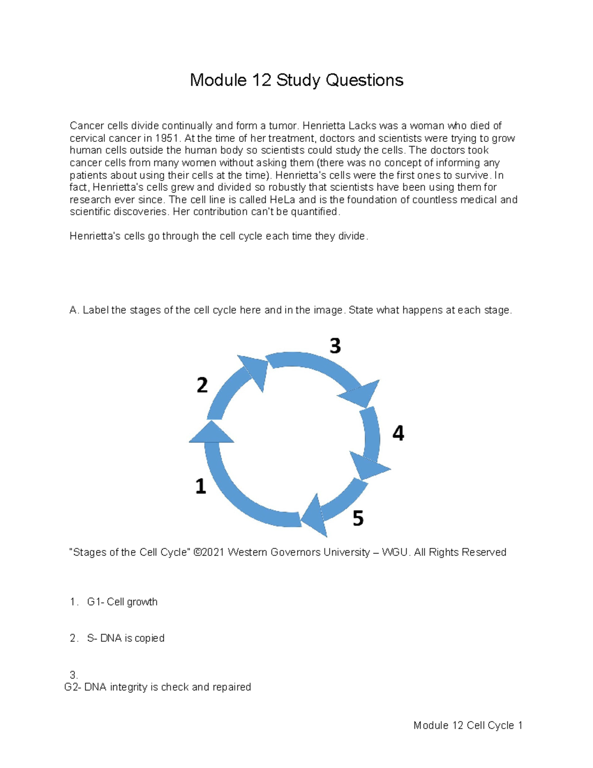 Module 12 study questions - Module 12 Study Questions Cancer cells ...