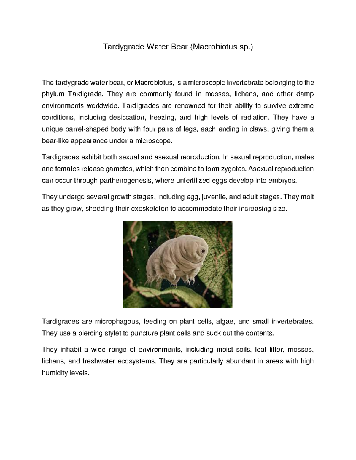 Evidence Life Sciencee - Tardygrade Water Bear (Macrobiotus sp.) The ...