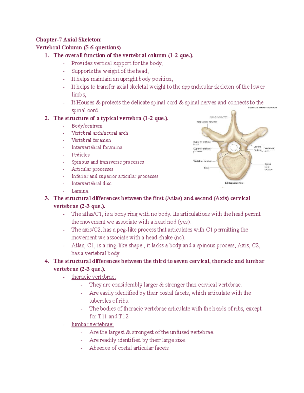 Anatomy Midterm 3 Review - Chapter-7 Axial Skeleton: Vertebral Column ...