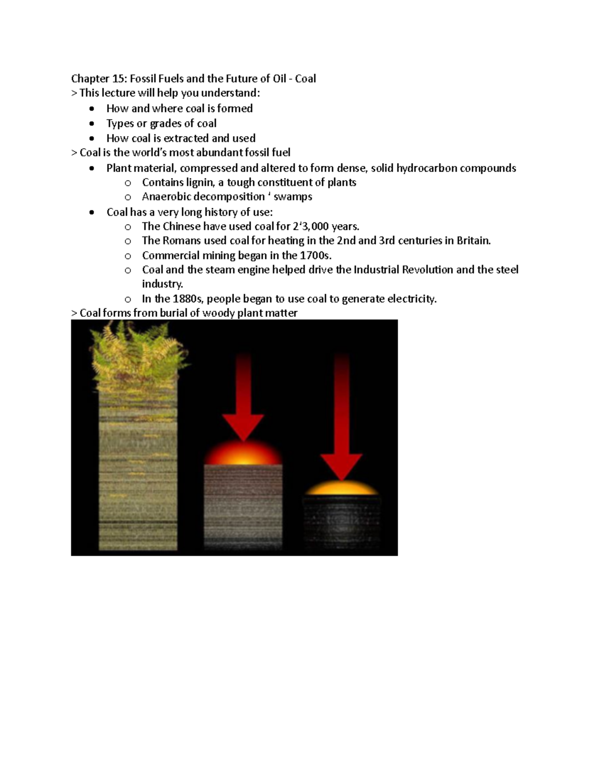 Coal (Energy Source) - Chapter 15: Fossil Fuels and the Future of Oil ...