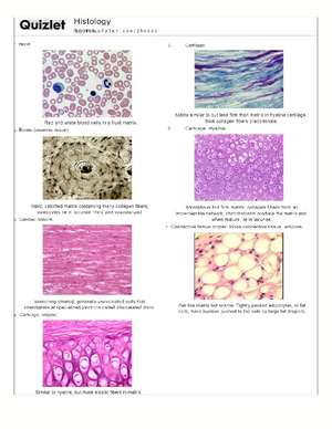 Long assignment for bio - Name: Rashawn Miles Course: University ...