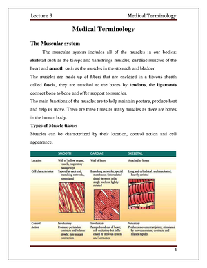 Medical terminology lec 4 - Lecture 4 Medical Terminology 1 Medical ...