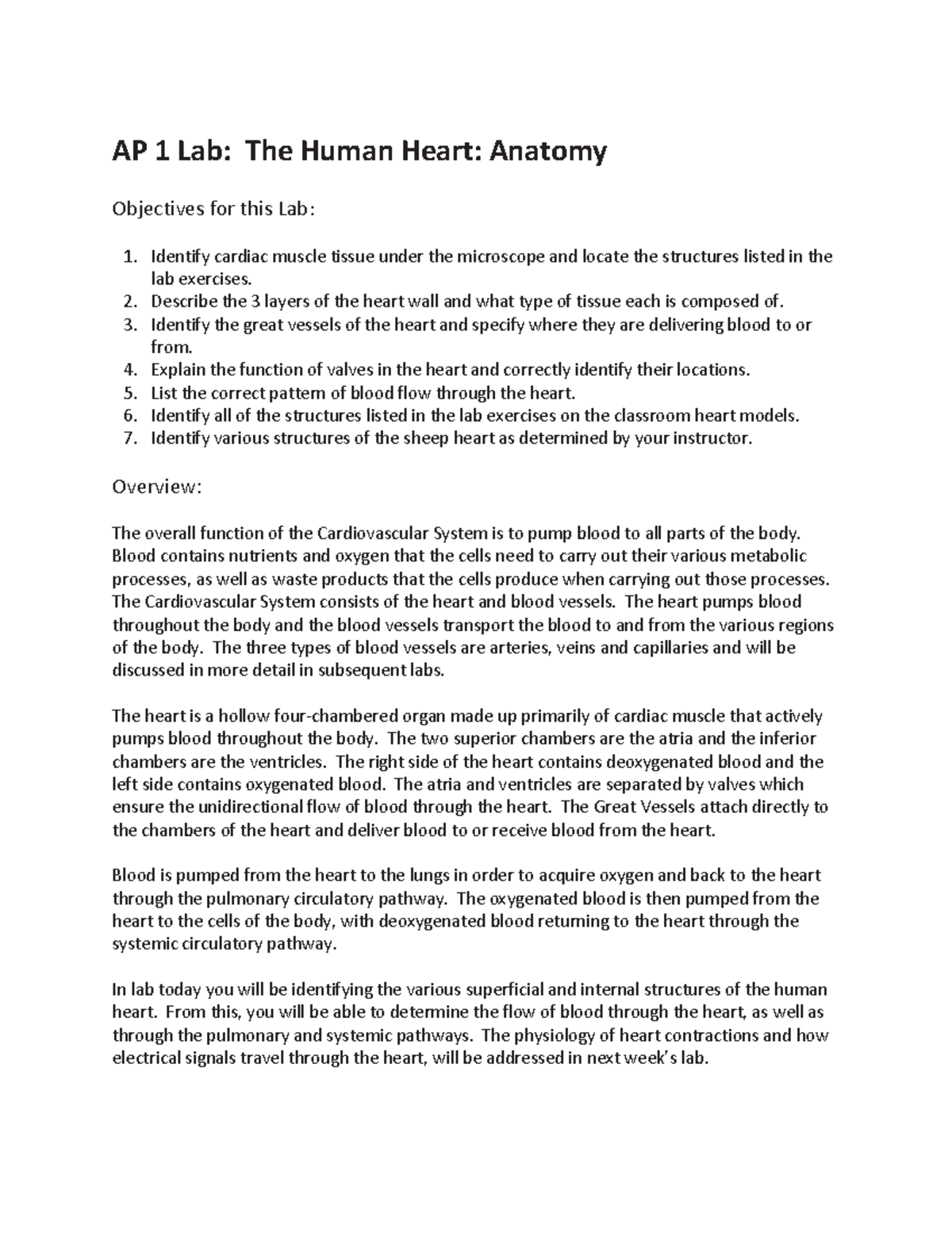 AP Lab 5 - lab - AP 1 Lab: The Human Heart: Anatomy Objectives for this ...