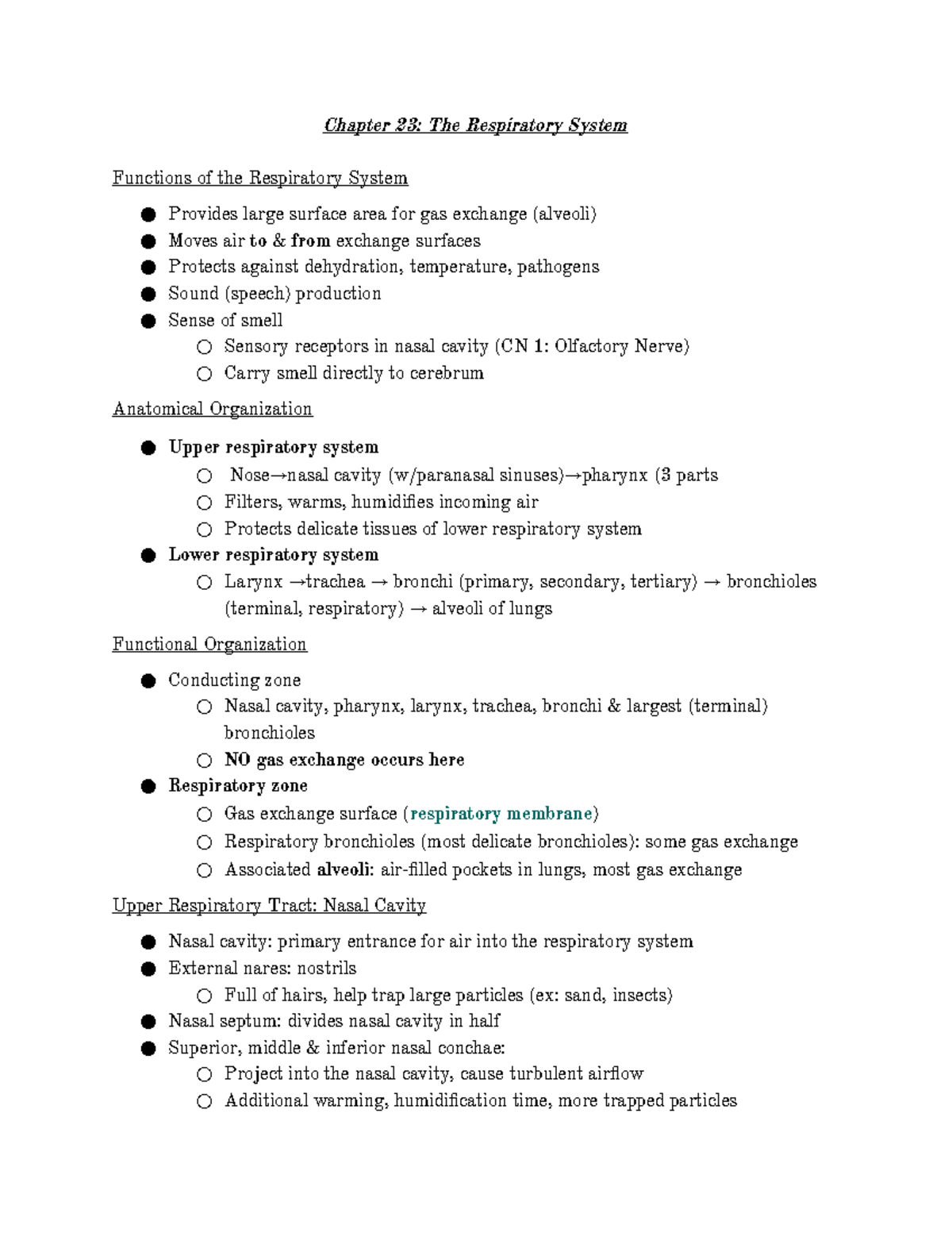 A&P Chapter 23 The Respiratory System - Chapter 23: The Respiratory ...