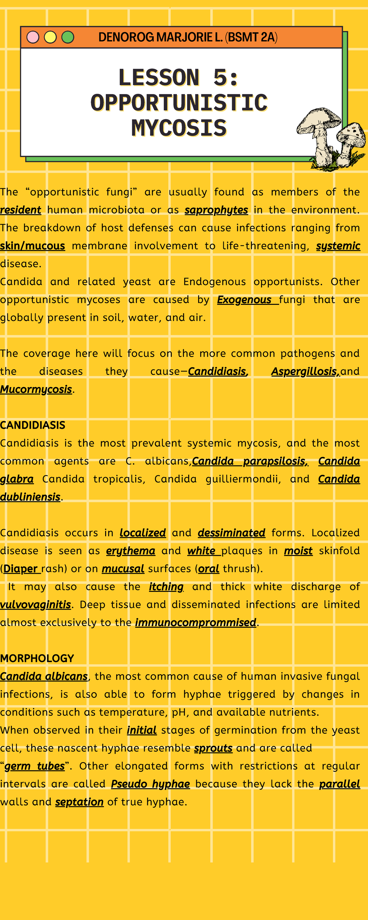 Lesson 5 Opportunistic Mycosis - LESSON 5:LESSON 5 ...