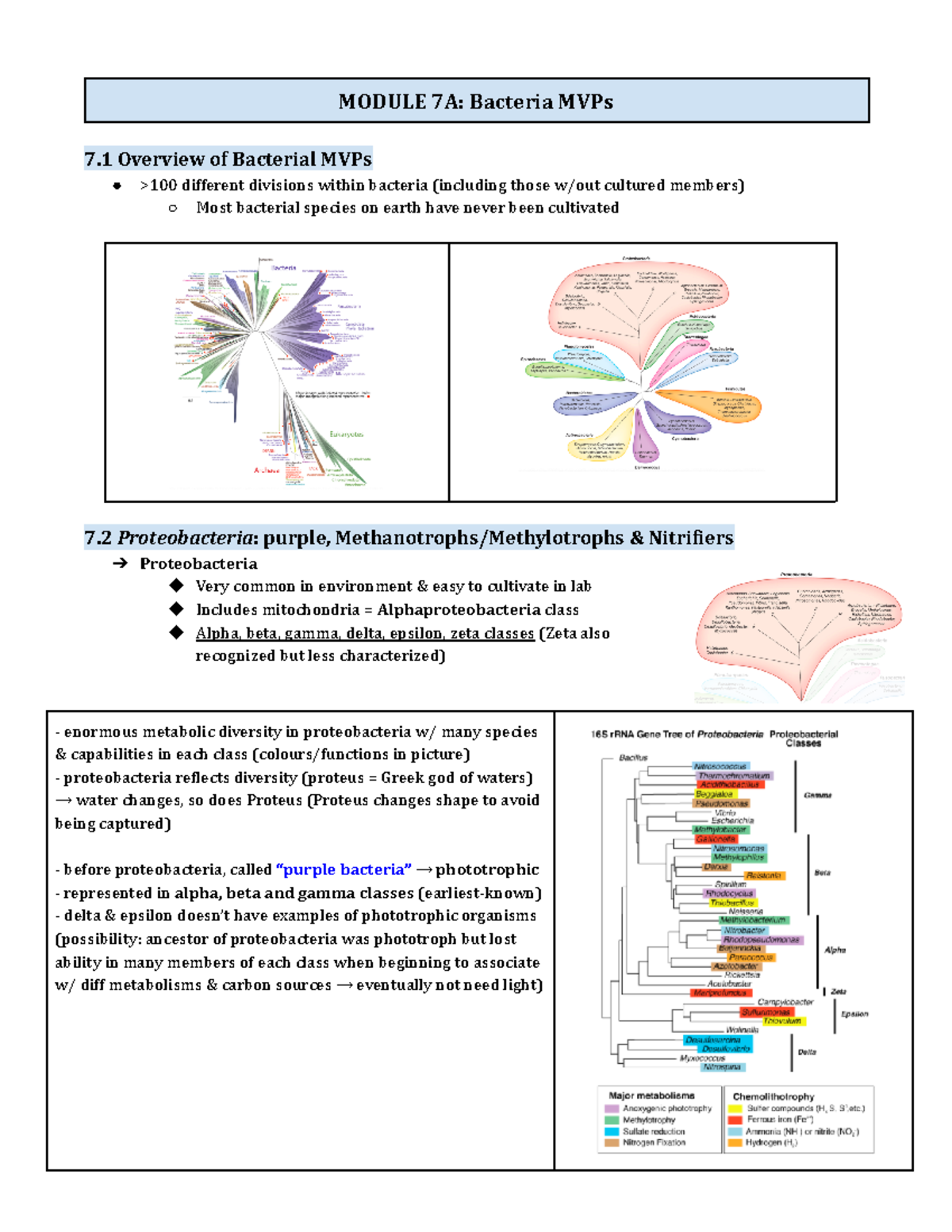 Module 7A Bacteria MVPs - MODULE 7A: Bacteria MVPs 7 Overview of Bacterial MVPs >100 different ...