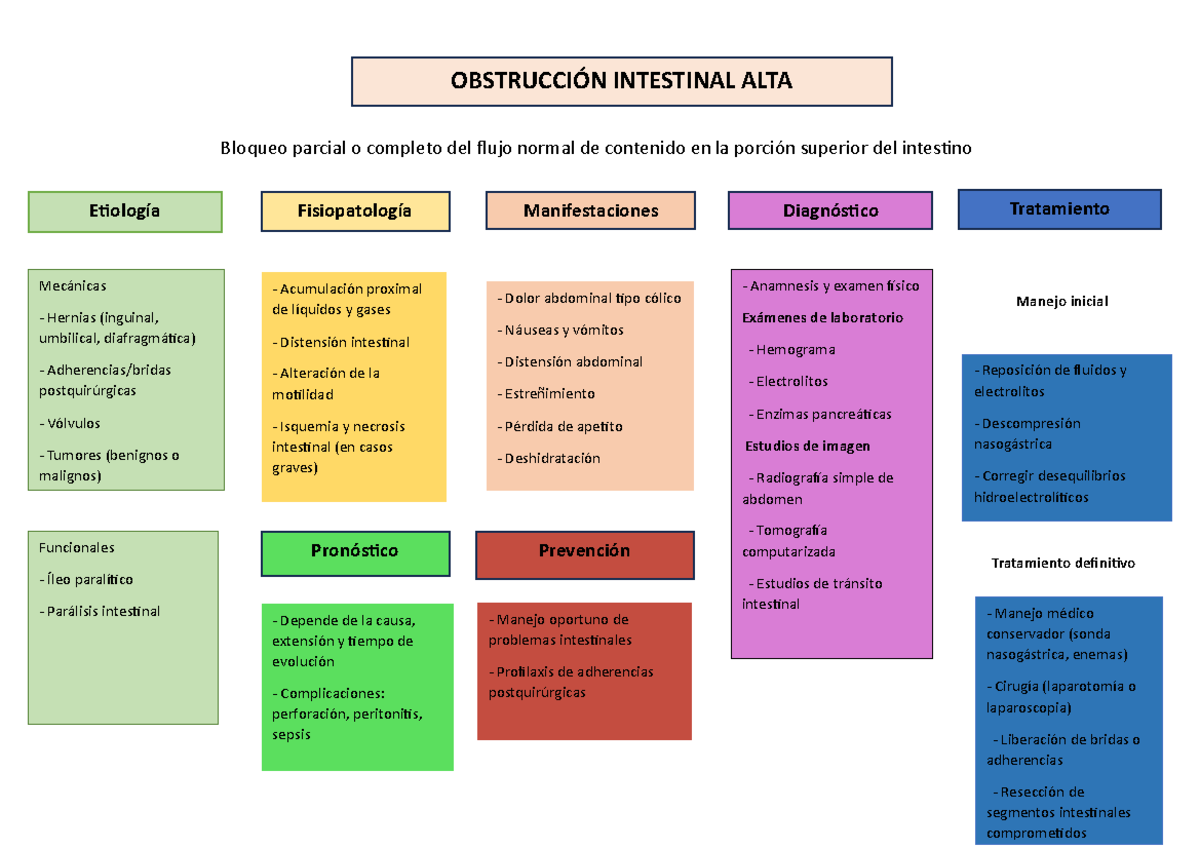 Mapa conceptual de obstruccion alta - OBSTRUCCIÓN INTESTINAL ALTA ...