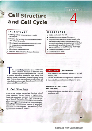 Biol Tissues First Part - EX E R C I Tissues 6 OBJECTIVES MATERIALS 1 ...