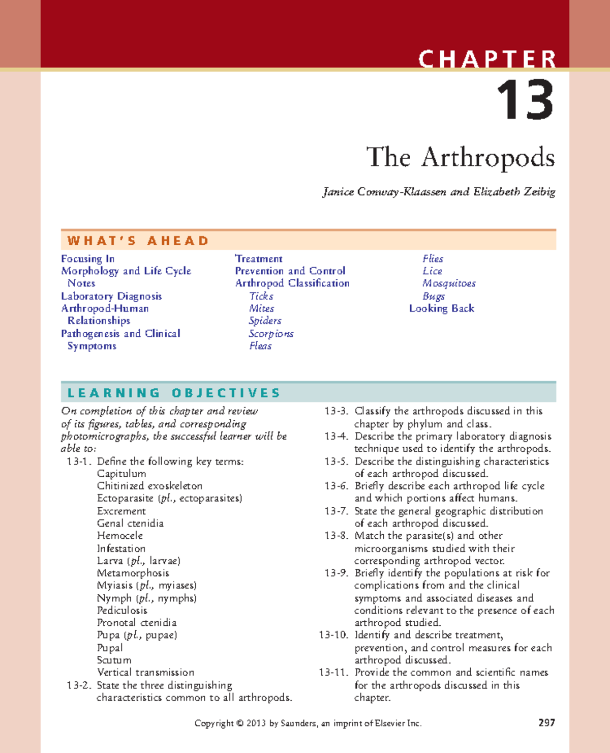 Anthropods - Copyright © 2013 by Saunders, an imprint of Elsevier Inc ...