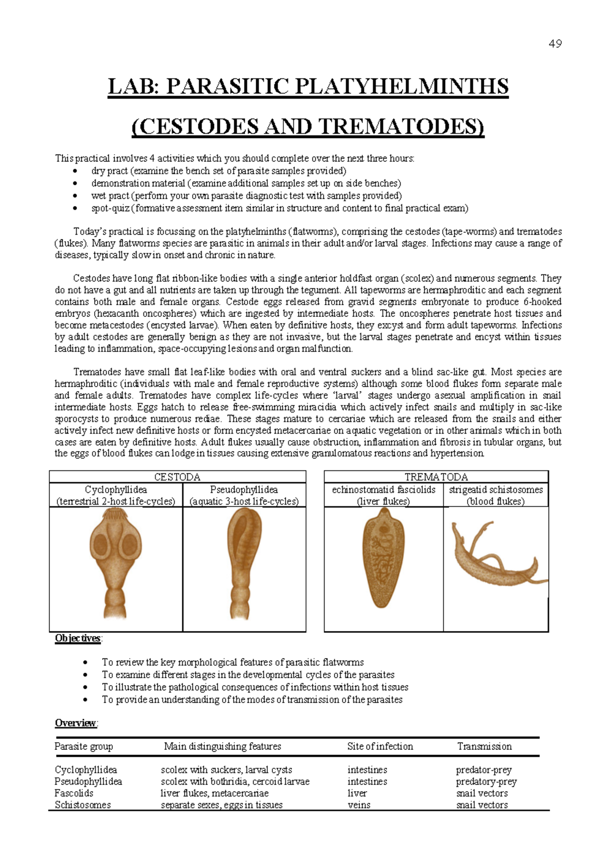 PARA3002- Parasitic- Platyhelminthes-Prac-with answers-for-student ...