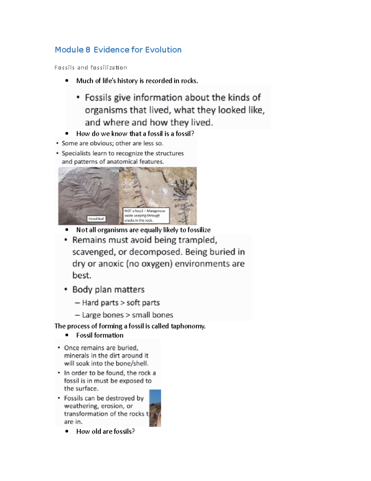 Module 8 Evidence for Evolution - Module 8 Evidence for ...