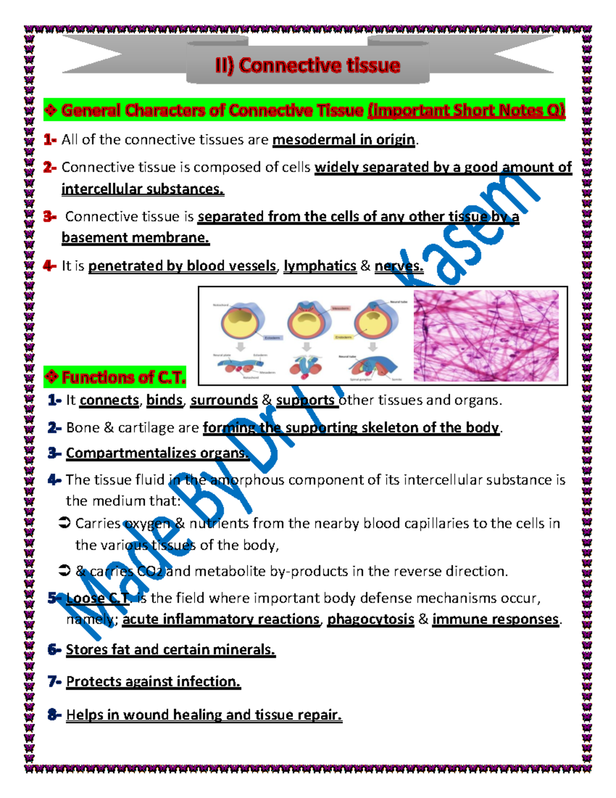 Hist 102 (Connective tissue) - All of the connective tissues are ...