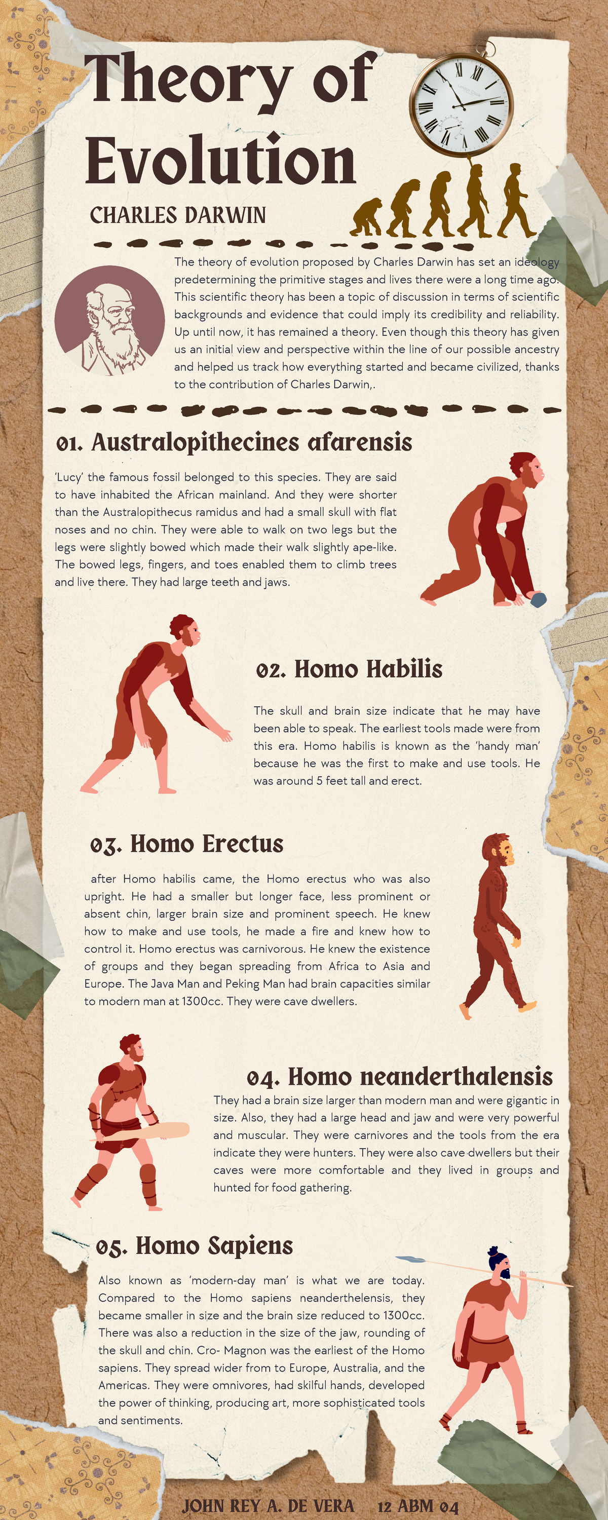 Theory of Evolution - Theory of Evolution 01. Australopithecines ...