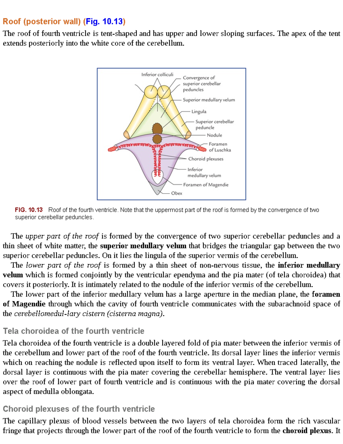 Vishram singh textbook of clinical neuroanatomy 25 - Roof (posterior ...