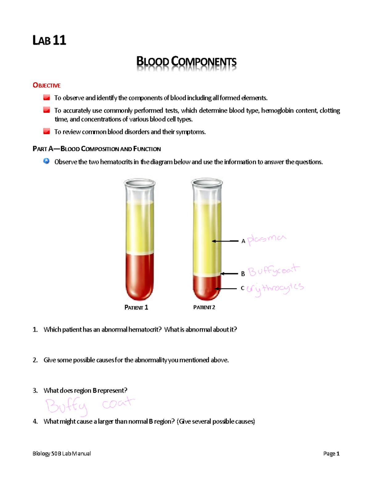 Lab 11 - Blood - OBJECTIVE To observe and identify the components of ...