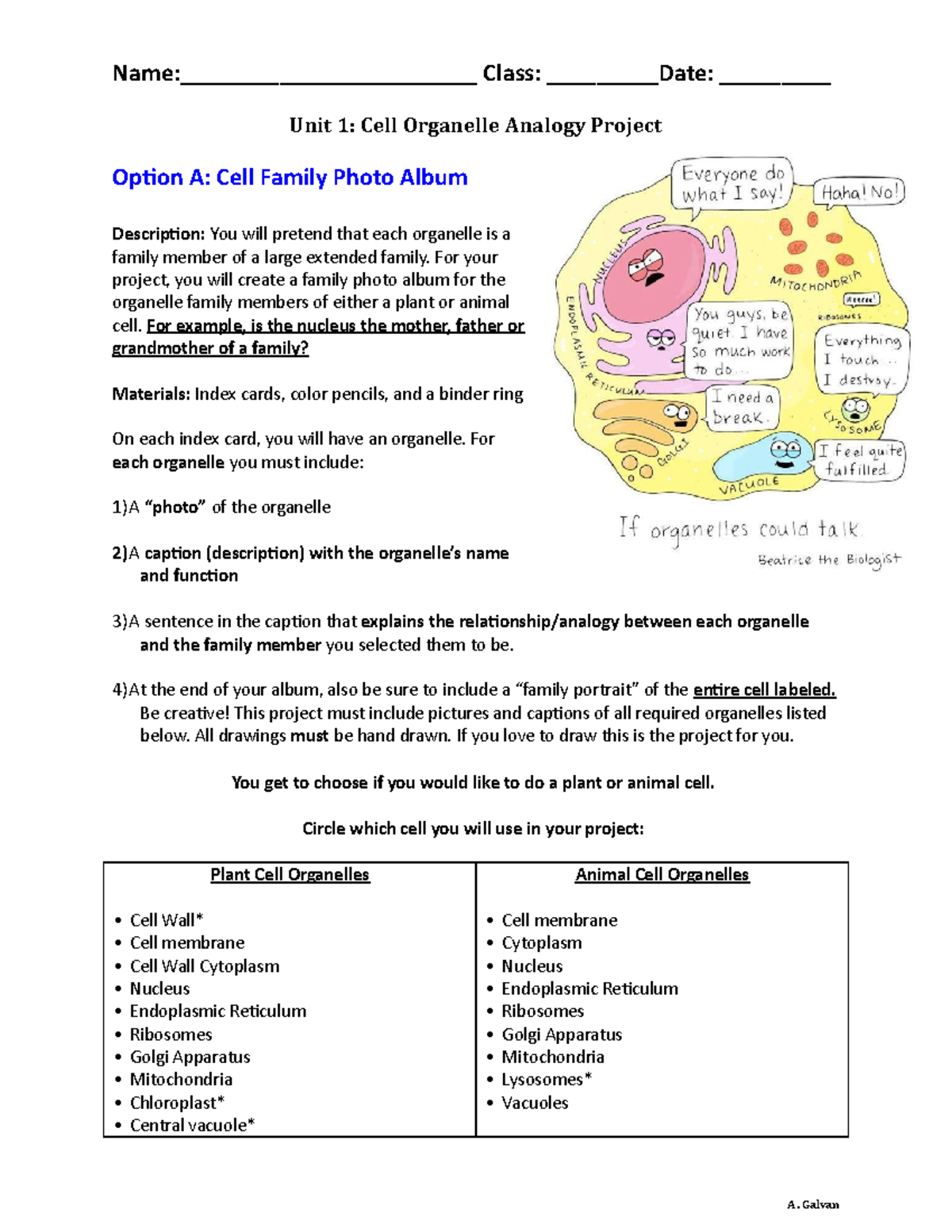 Cell Organelle Analogy Project 2018-2019 - Name ...