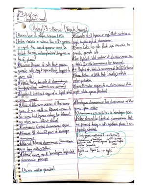 Lizards in an Evolutionary Tree KEY - Lizards in an Evolutionary Tree ...