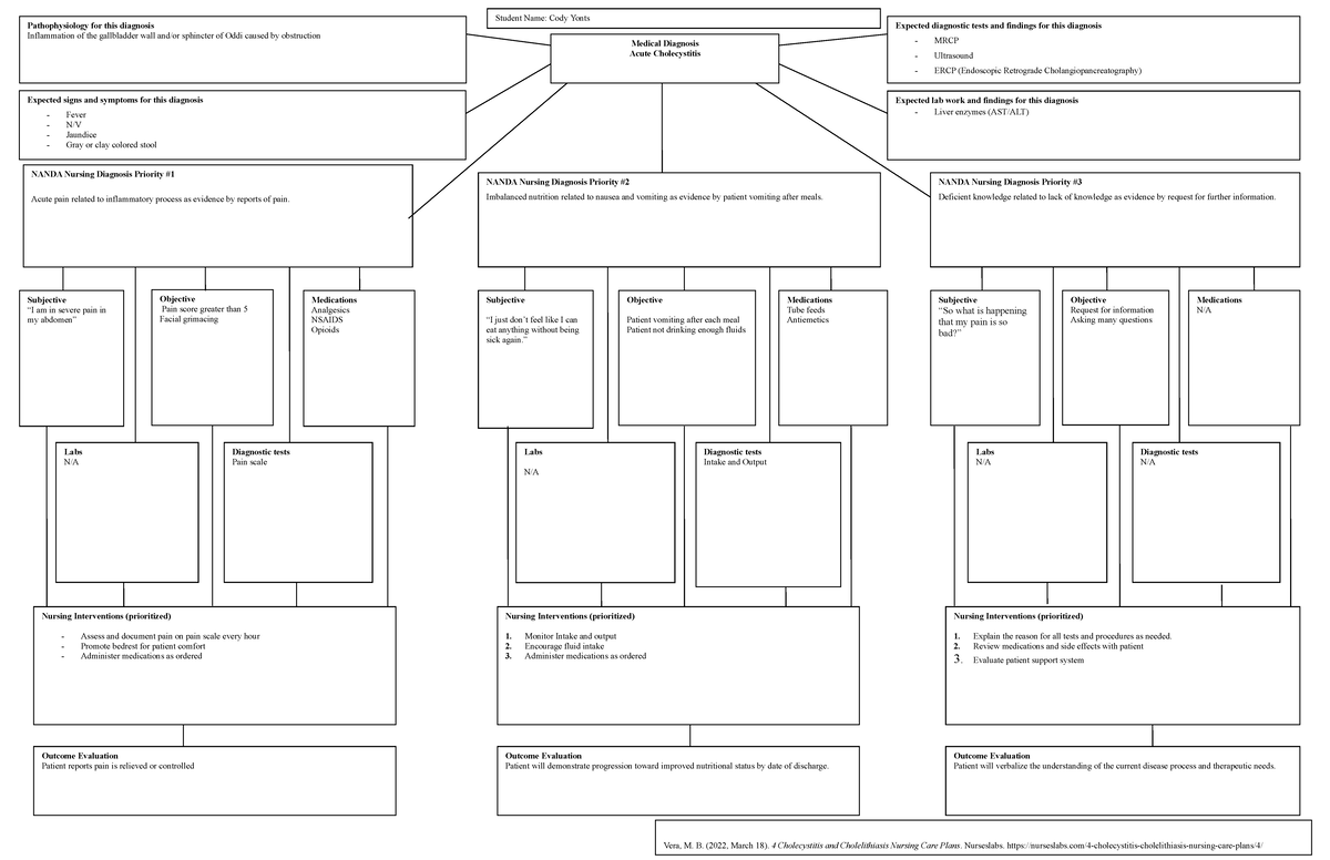 Concept Map 3 nsg 3800 - [Type text] Objective Pain score greater than ...