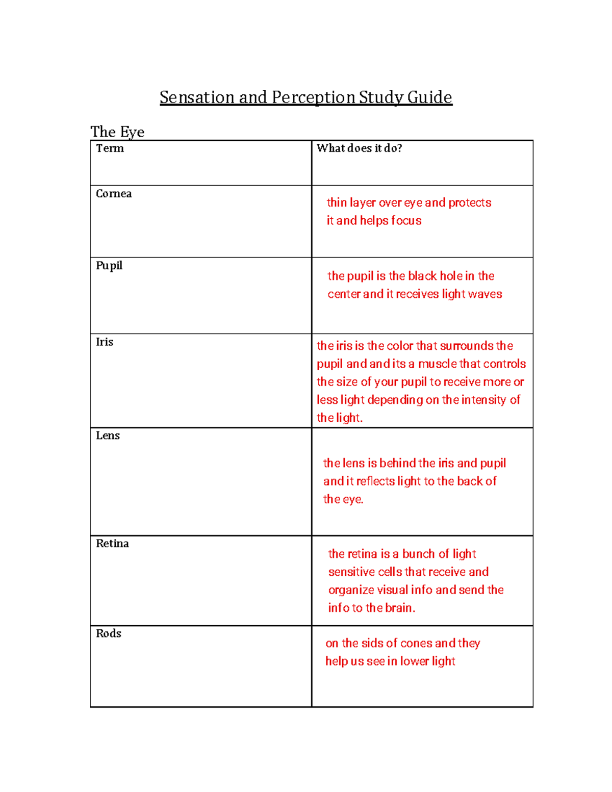 Sensation and Perception Table - PSYC 101 - Sensation and Perception ...