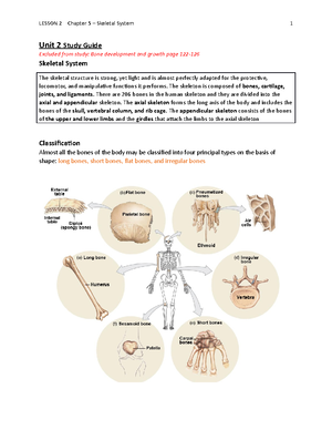 Unit 2.2 (Skeletal System) - Unit 2 Study Guide Excluded from study ...