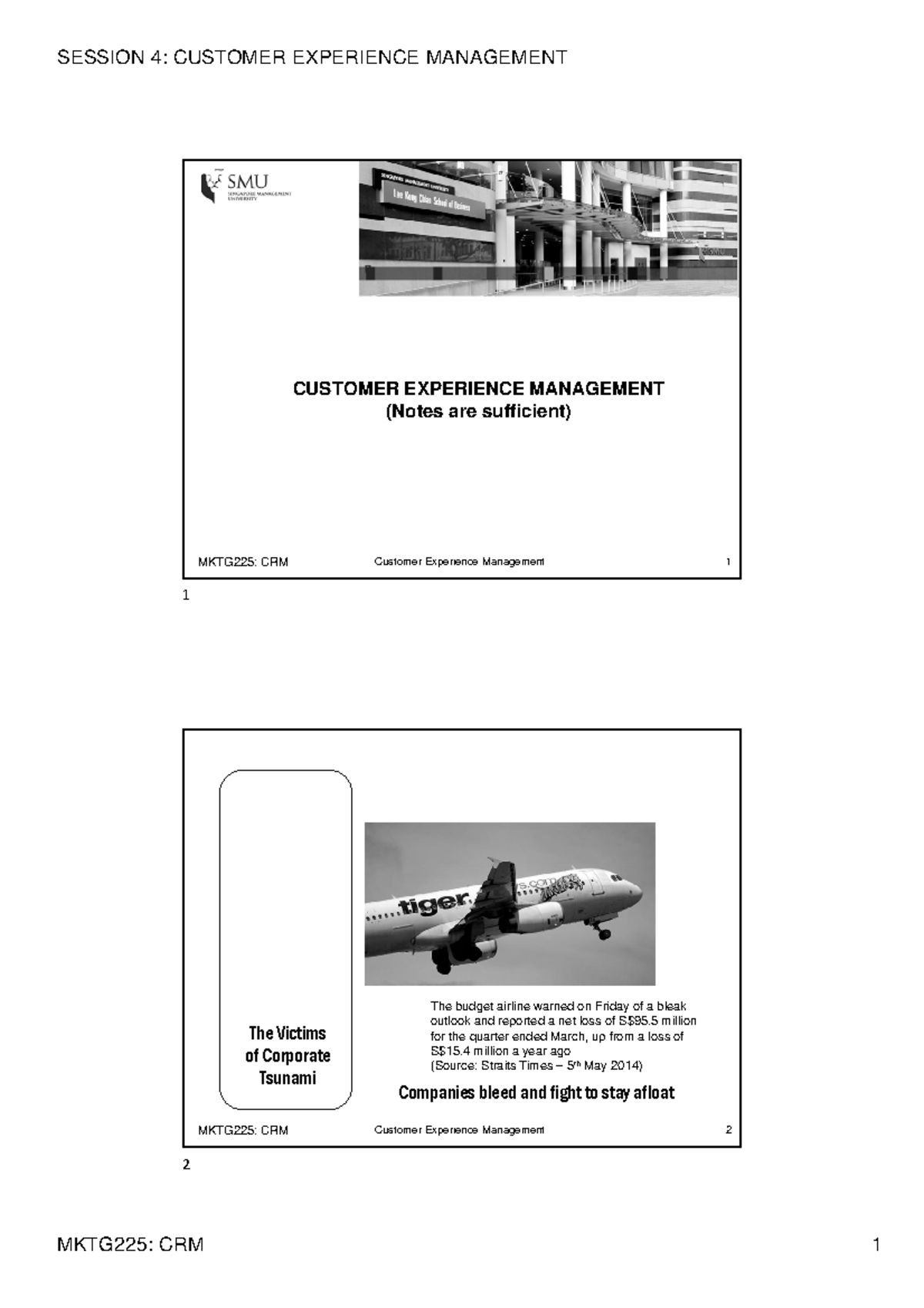 Customer experience management handout - MKTG225: CRM Customer ...