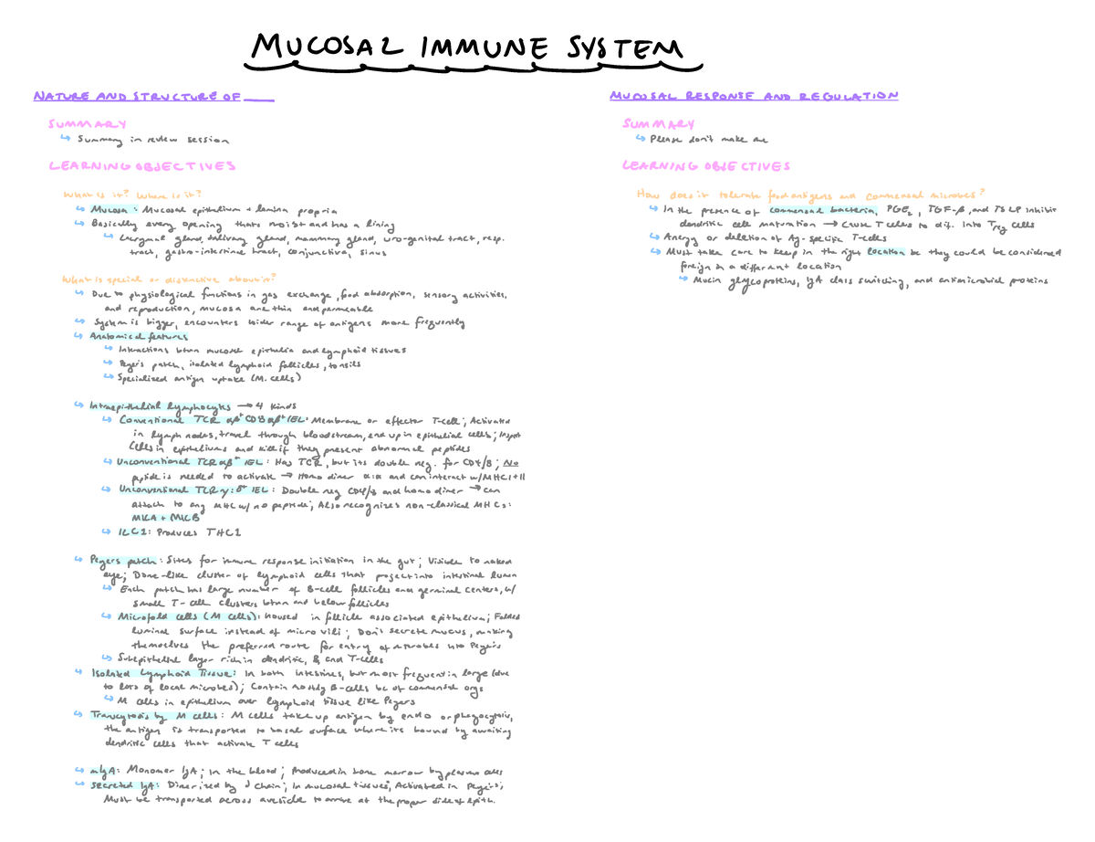 Ch 12: Mucosal Immune System - MUCO SAL IMMUNE SYSTE M NATURE AN D ...