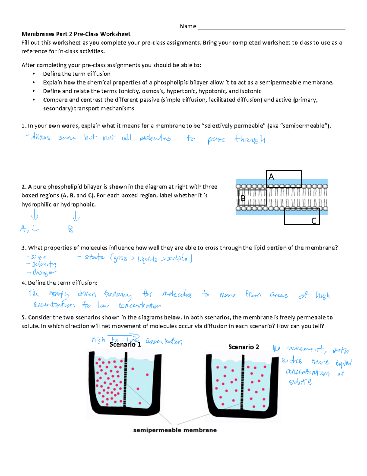 Week 2b Membranes 2 Reading Guide - Name ...