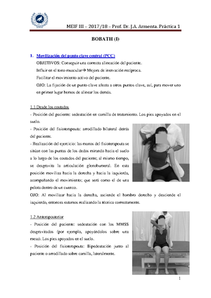 Guia Practica 5 Concepto Brunnstrom 1- 2017-18 - BRUNNSTROM (I ...