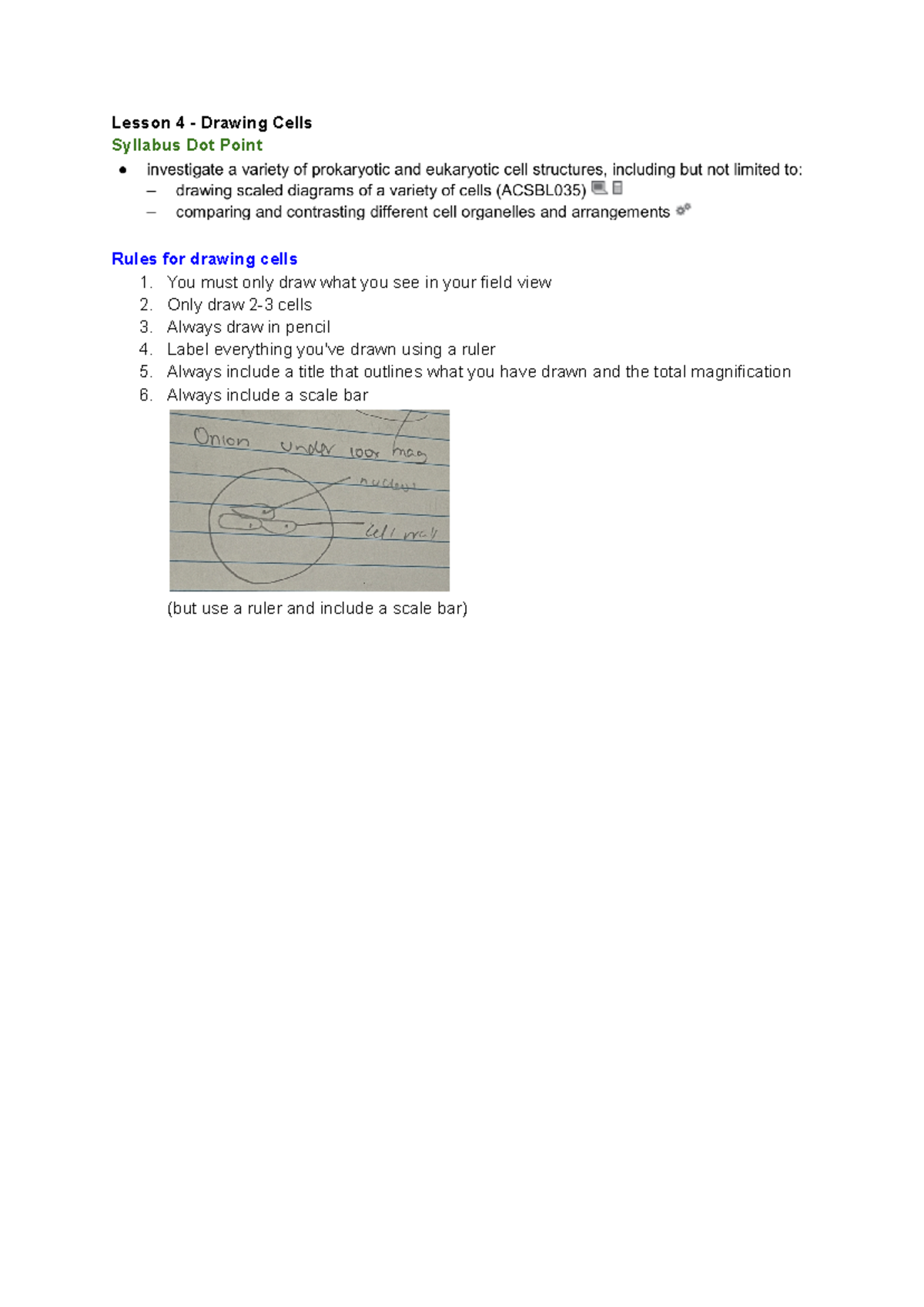 Biology Prelim Notes 4 - Lesson 4 - Drawing Cells Syllabus Dot Point ...