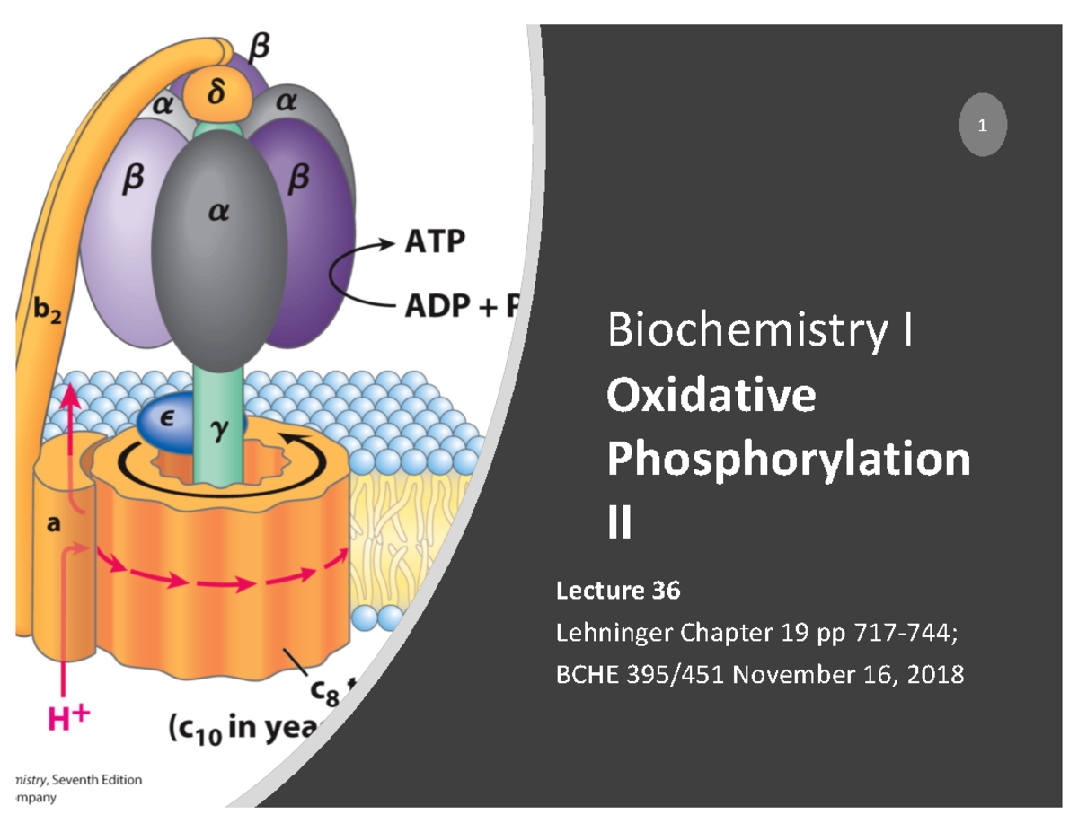 Oxidative phosphorylation II - 1 Biochemistry I Oxidative ...