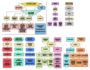 Pharm I - Infection - Table defining: Prototype, Drug Class ...
