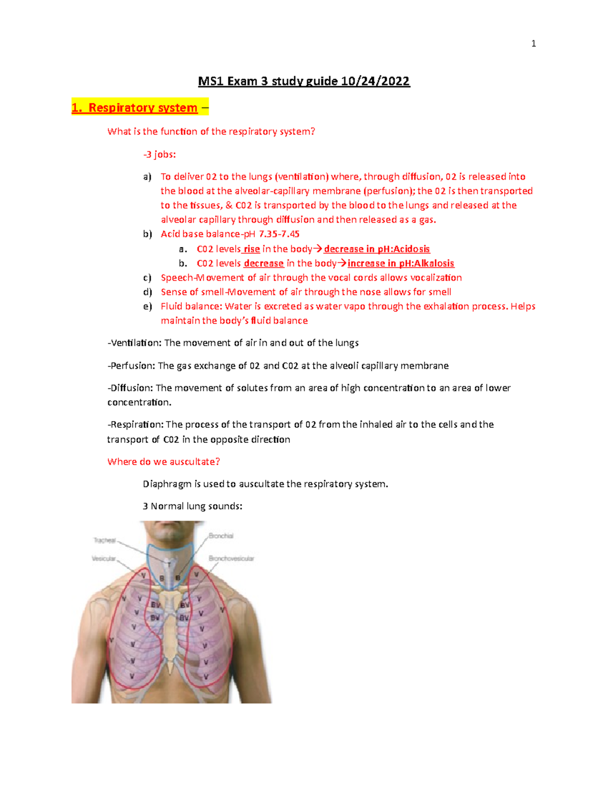 MS Exam 3 study guide - Respiratory system – What is the function of ...