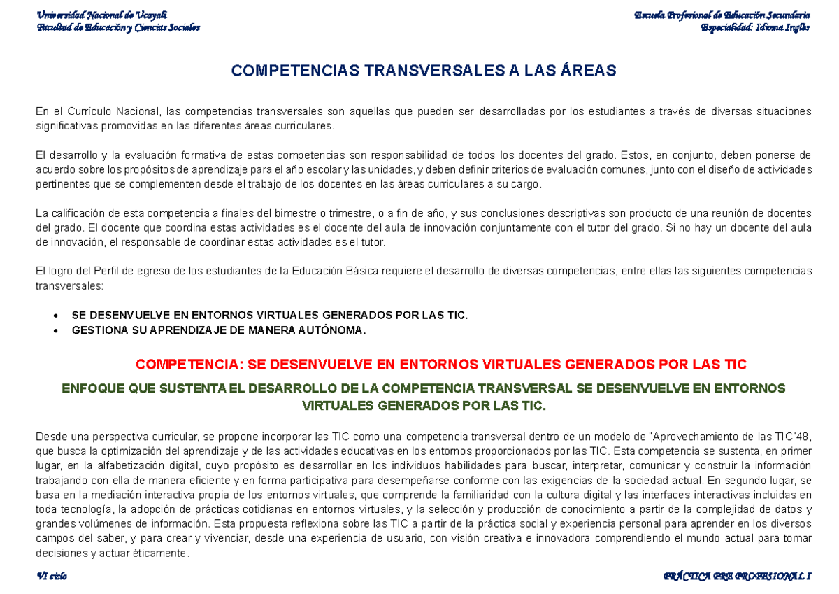 Competencias Transversales - Estandares, Capacidades Y Desempeños PPP I - Facultad de Educación ...
