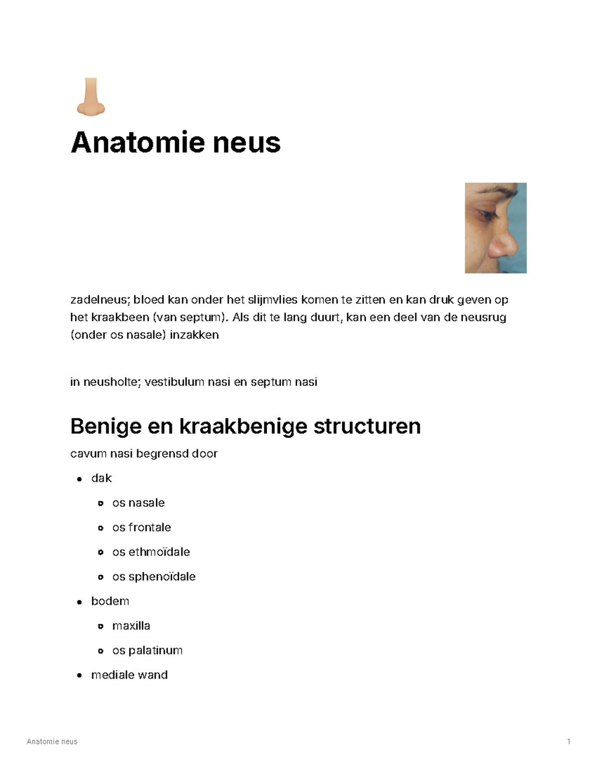Anatomie neus 4587f387b983498 d963b9124f70b3c51 - Anatomie neus ...