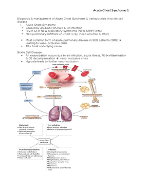 Brittany Long v Sim - Pediatric Case 4: Brittany Long Documentation ...