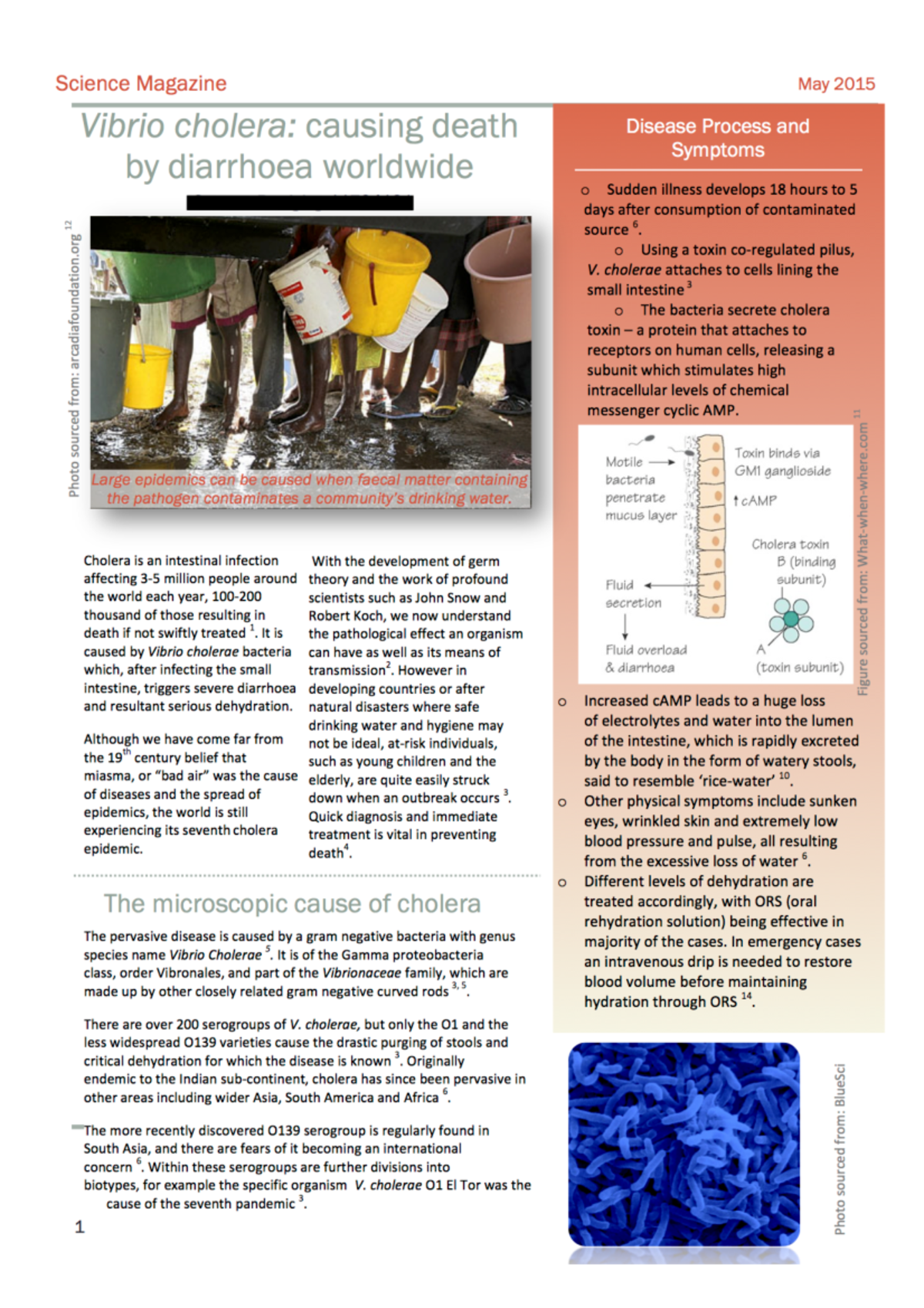 Example 2 - SCIENCE MAGAZINE - 1) ., ced from: arcadiafoundationorg ...