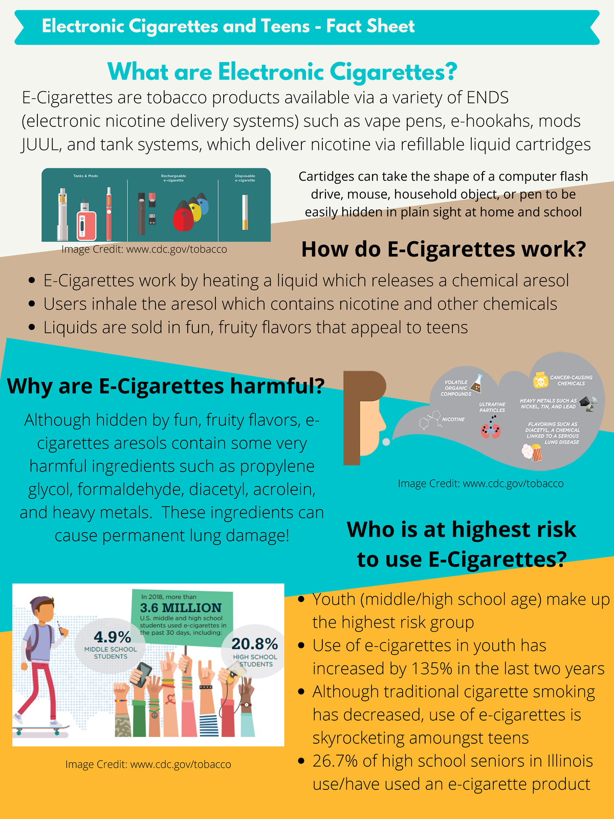 E Cig Fact Sheet - What are Electronic Cigarettes? Image Credit: cdc ...
