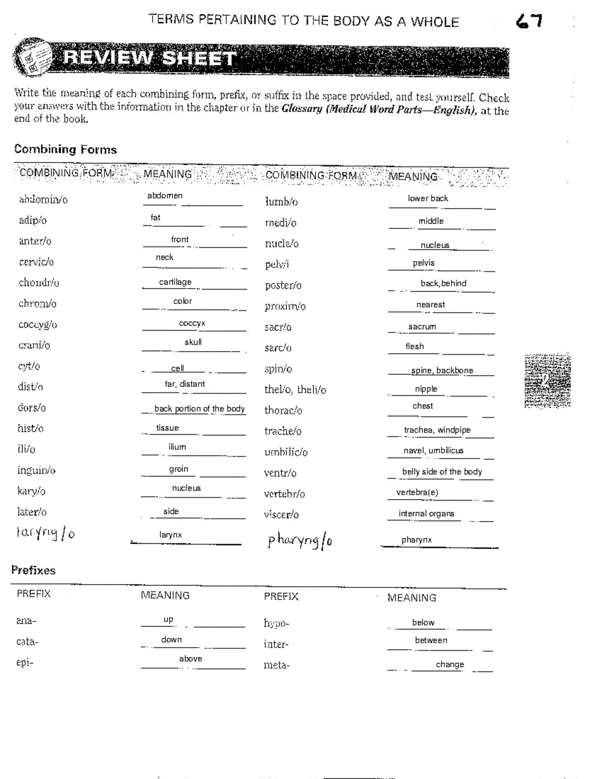 Medical Terminology Chapter 2 Review - up down above below between ...